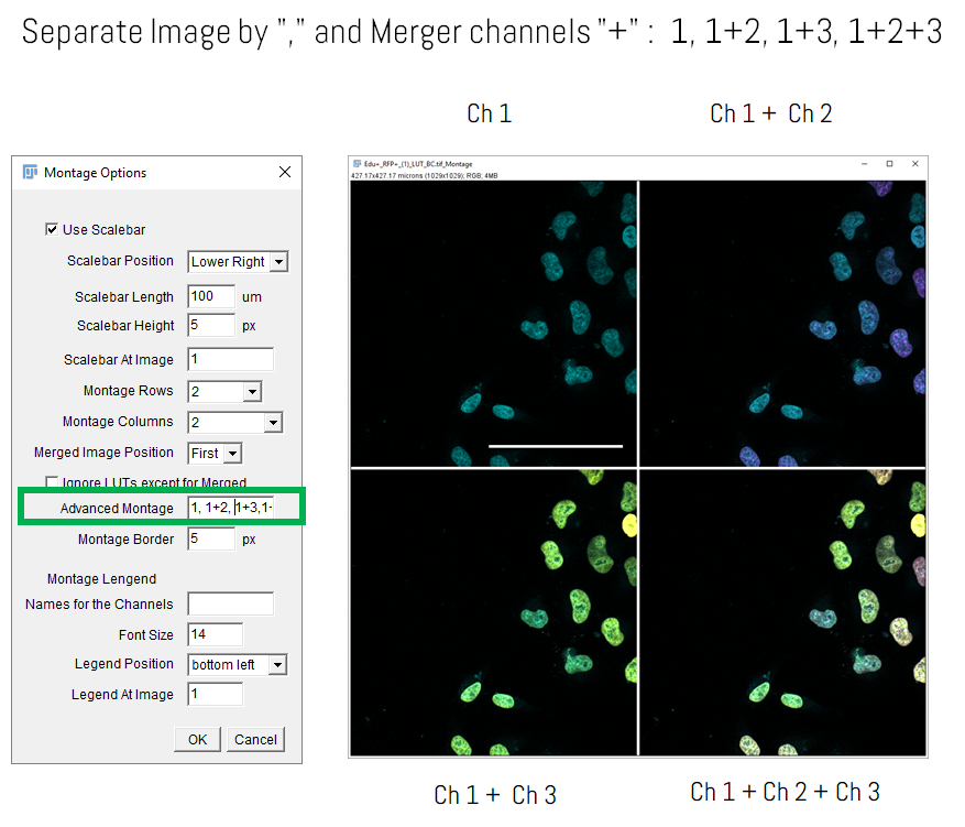 ijab-BIOP Channel Tools | BIOP Wiki Resources