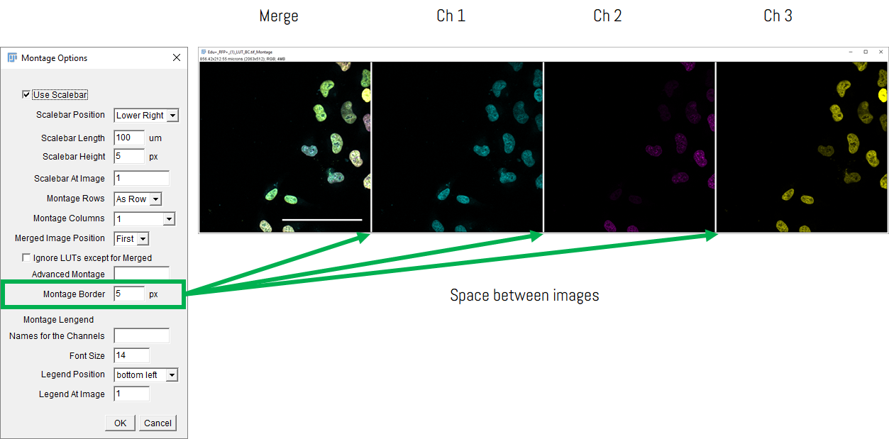 ijab-BIOP Channel Tools | BIOP Wiki Resources